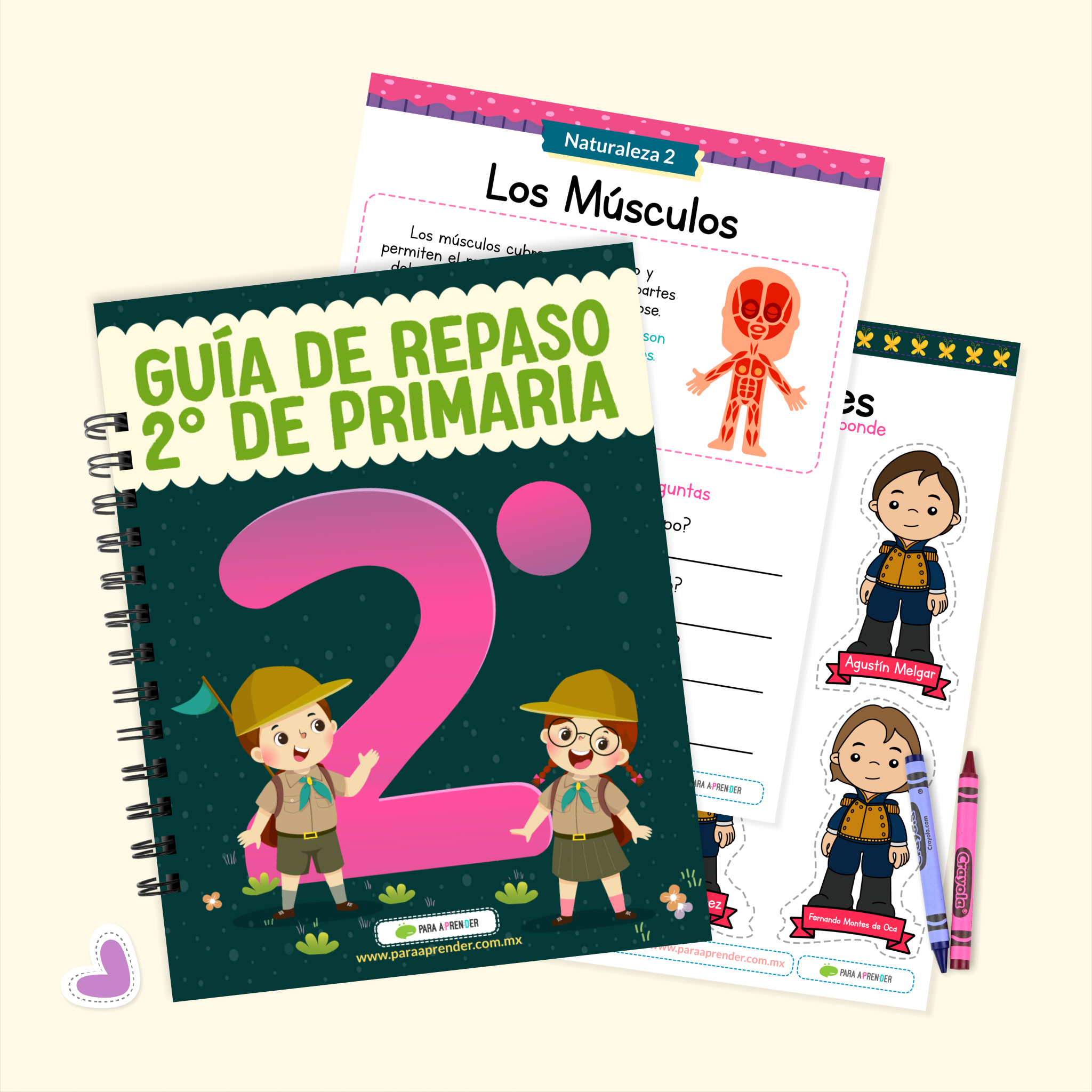 2° De Primaria NEM Guía De Repaso En PDF Con 74 Páginas