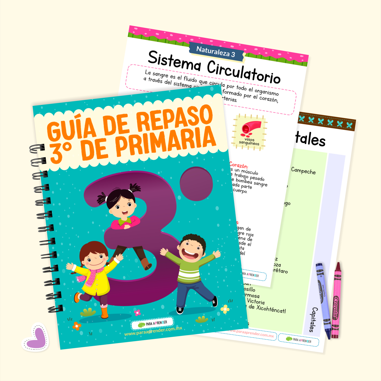 3° De Primaria NEM Guía De Repaso En PDF Con 70 Páginas
